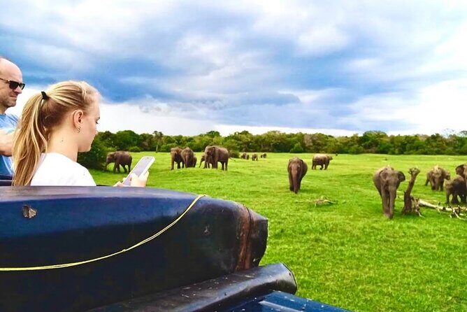 Kaudulla Safari Adventure - Key Points