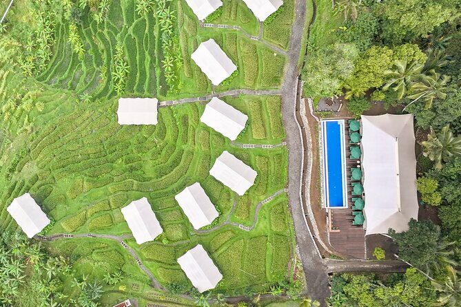 Kaura: Cooking Class & Choose Optional Tour with Private Transfer - Frequently Asked Questions