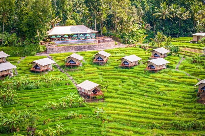 Kaura Pool and Dine Choose Optional Tour with Private Transfer - Key Points