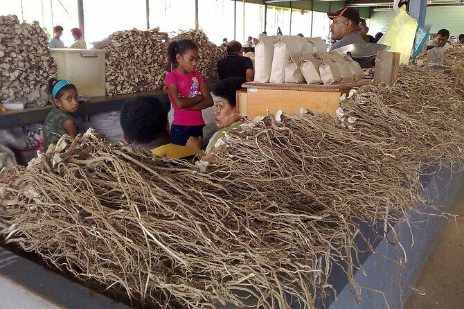 Kava Factory Tour and Flavored Kava Tasting Experience - An Honest Look at the Kava Factory Tour and Flavored Kava Tasting Experience