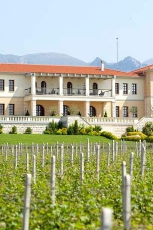 Kavala: VinoTour - Wineries Private Tour - The Value of the Experience