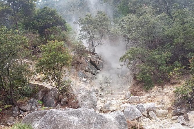 Kawah Putih tour - Day trip Ticket etc all including - Key Points