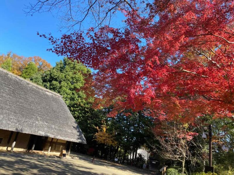 Kawasaki: Tama River Cycling & Japanese Folk House Tour - An Introduction to the Experience