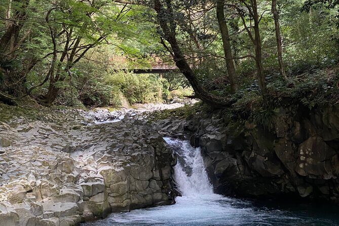 Kawazu Seven Falls Guided Tour - Introduction