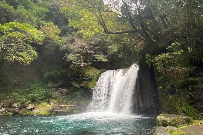 Kawazu Seven Falls Guided Tour - Key Points