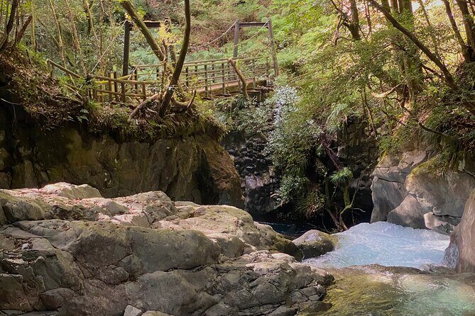 Kawazu Seven Falls Guided Tour - Who is this tour best for?