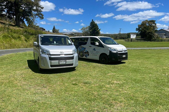 Kawiti Family Glowworm Caves Guided Tour in Bay of Islands - Who Will Love This Tour?