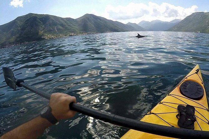 Kayak active tour - What to Expect from the Kayak Active Tour in Kotor