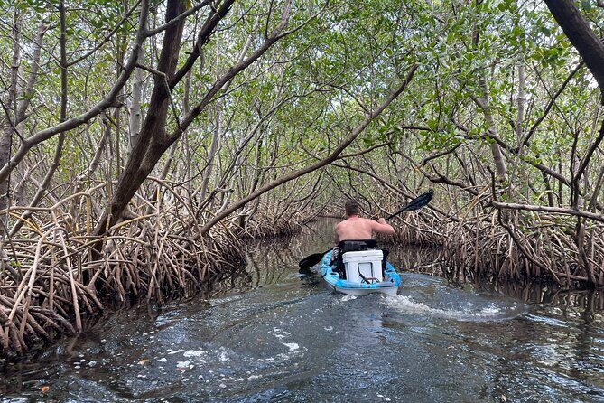 Kayak Adventure at Shell Key Preserve in Tierra Verde - Discovering Shell Key Preserve by Kayak