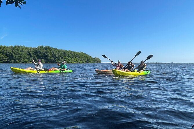 Kayak Adventure at Shell Key Preserve in Tierra Verde - What Travelers Are Saying