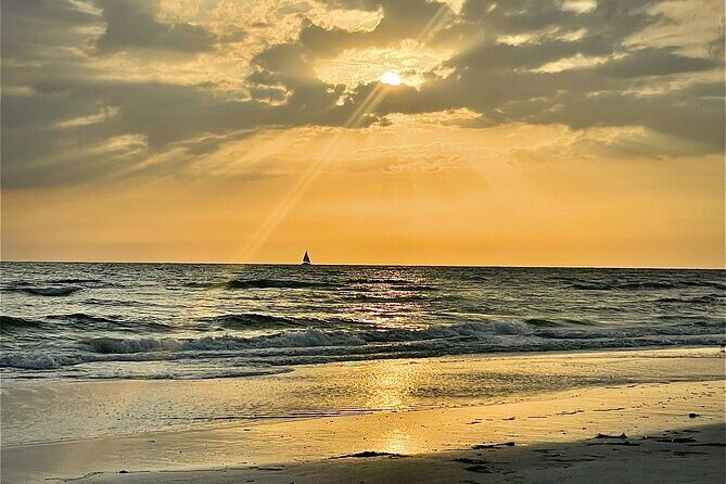 Kayak Adventure at Shell Key Preserve in Tierra Verde - The Value of the Experience