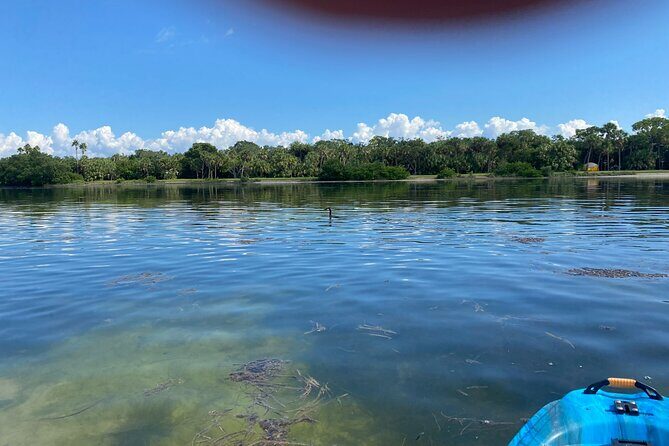 Kayak Adventure at Shell Key Preserve in Tierra Verde - Who Will Love This Tour?