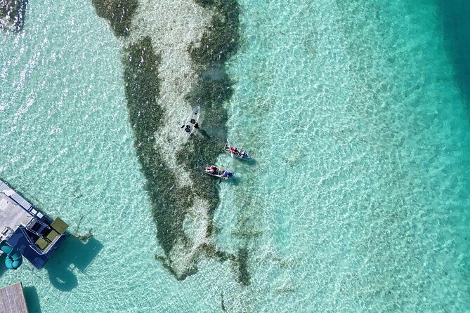 Kayak Adventure, Conch Dive & Local Rum Tasting Grand Turk - Practical Details and Value