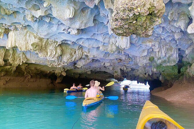 Kayak Adventure Experience at Lan Ha Bay - Wildlife and Nature Insights
