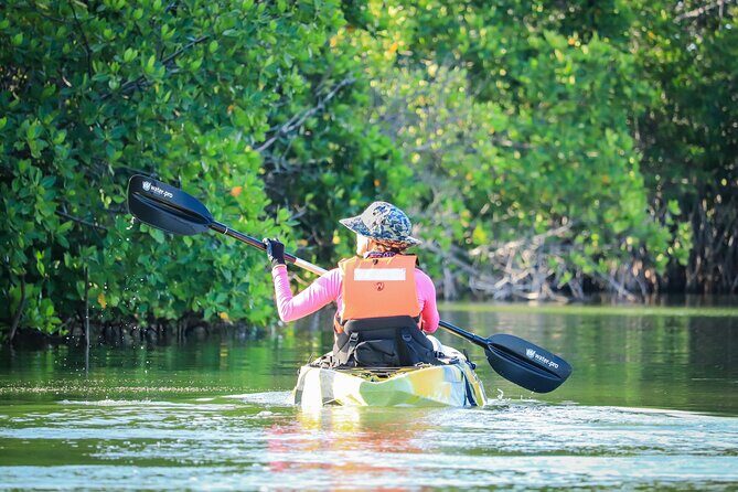 Kayak Adventure in Cancun - Final Thoughts