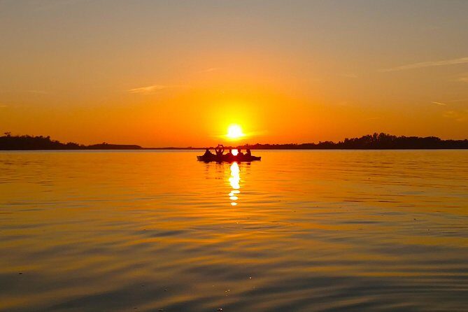 Kayak Adventure of Shell Key Preserve & Island with a Local - Key Points