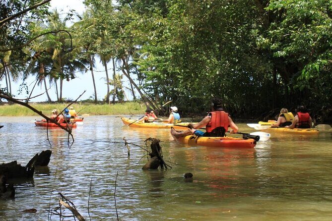 Kayak Adventure on the Roseau River in St Lucia - Key Points