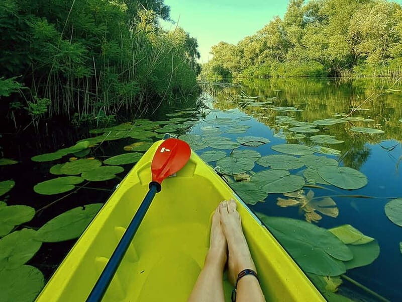 Kayak Adventure: Paddle your way through Lake Skadar - Setting the Stage: Why Choose a Kayak Adventure at Lake Skadar?