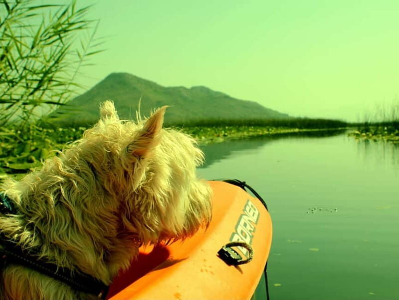 Kayak Adventure: Paddle your way through Lake Skadar - Authentic Experiences & Practical Details