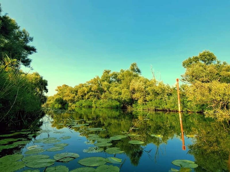 Kayak Adventure: Paddle your way through Lake Skadar - The Real Value: Why This Tour Stands Out