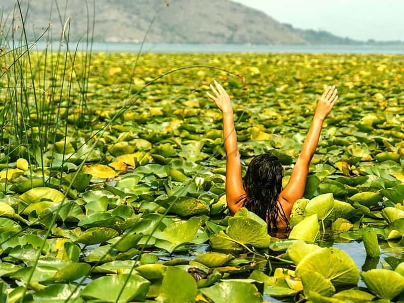 Kayak Adventure: Paddle your way through Lake Skadar - The Sum Up