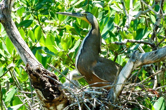 Kayak adventure through Laguna Nichupté in Cancun - Final Thoughts