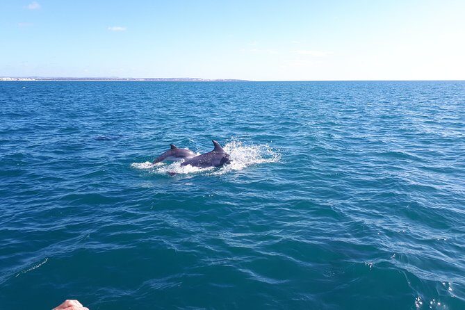 Kayak Algarve tour BENAGIL by Diamond tours - Final Thoughts
