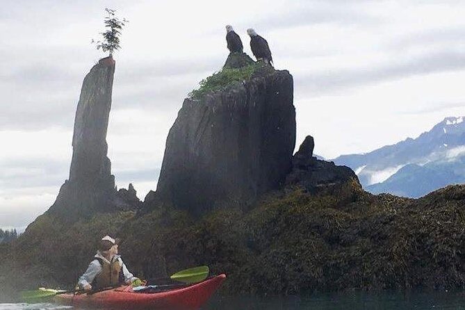 Kayak and Hike to Historic WW2 Army Fort in Alaska! - Final Thoughts: Is This Tour Worth It?