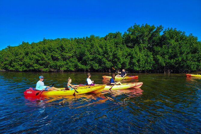 Kayak and Paddleboard Rentals at Siesta Key - Key Points