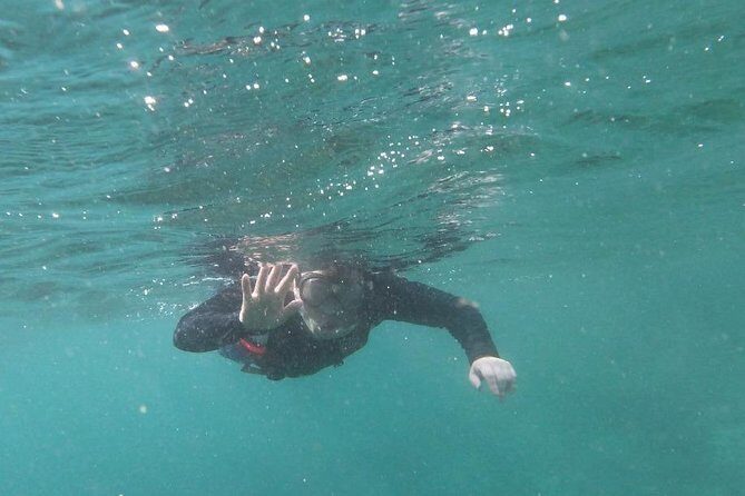 Kayak and Snorkel Tour Half Day - Introduction