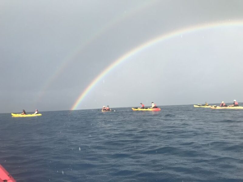Kayak and Snorkel West Maui at Olowalu - The Practicalities: What’s Included and How to Prepare