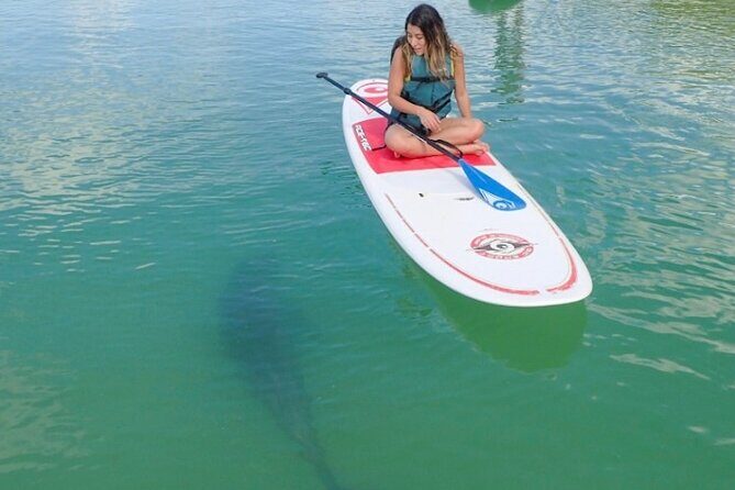 Kayak and SUP Rentals - Big Hickory Island - Fort Myers Beach, FL - Exploring Big Hickory Island: A Practical Review of Kayak and SUP Rentals