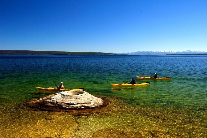 Kayak Day Paddle on Yellowstone Lake - The Experience: What You Can Expect