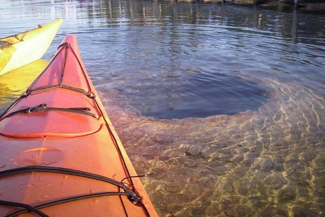 Kayak Day Paddle on Yellowstone Lake - The Practical Side: What the Price Covers