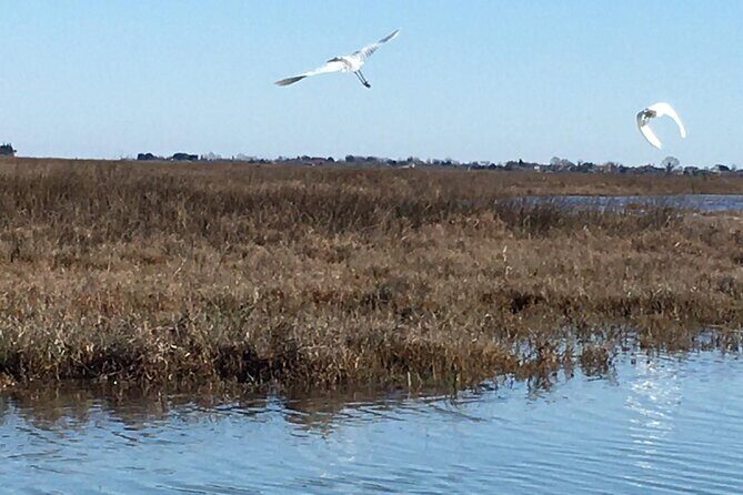 Kayak Discovery Tour in the Lagoon of Venice - Who Might Want to Pass
