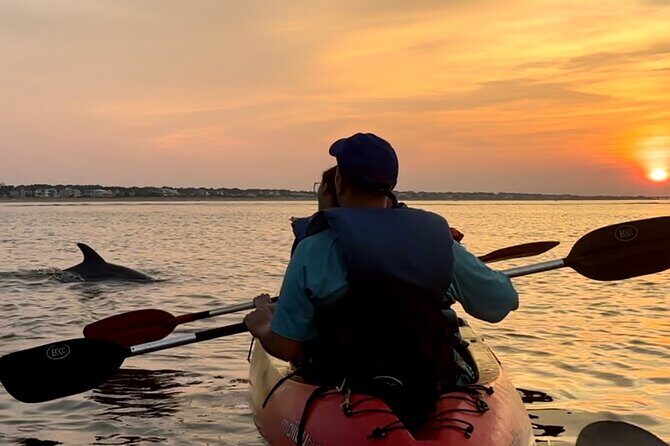 Kayak Dolphin Experience in Virginia Beach Must know how to swim - Meeting points and logistics