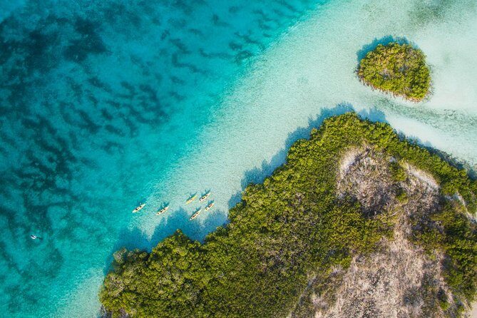 Kayak Eco Tour - Key Points