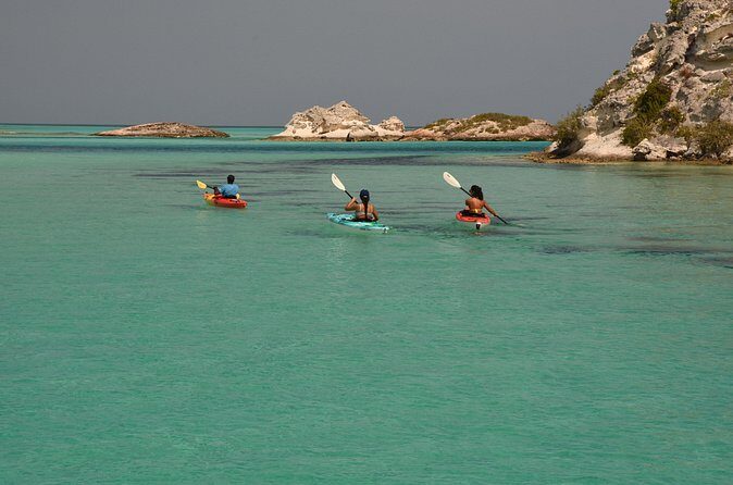 Kayak Eco Tour - The Sum Up: Is the Kayak Eco Tour in Turks and Caicos Right for You?