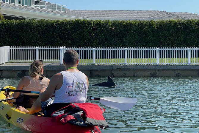 Kayak Eco Tour in Don Pedro Island - The Itinerary: What to Expect