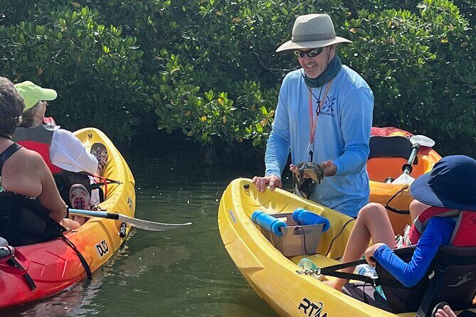Kayak Eco Tour in Don Pedro Island - The Experience: What You’ll Feel and See