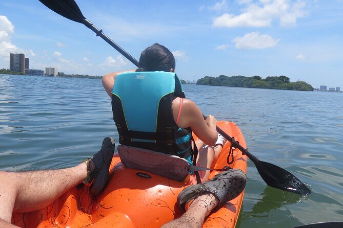 Kayak Eco tourism in Miami Bay - A Detailed Look at the Miami Bay Kayak Eco Tour