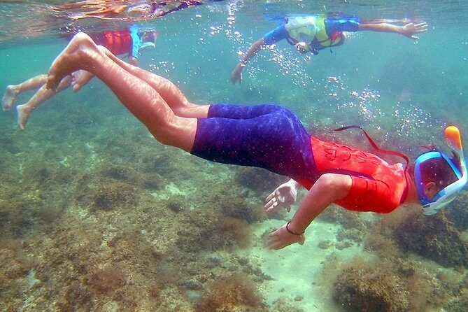 Kayak excursion in Playa de Aro - Final Thoughts