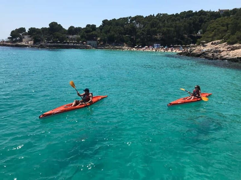Kayak Excursion - The Perfect Audience: Who Will Love This?