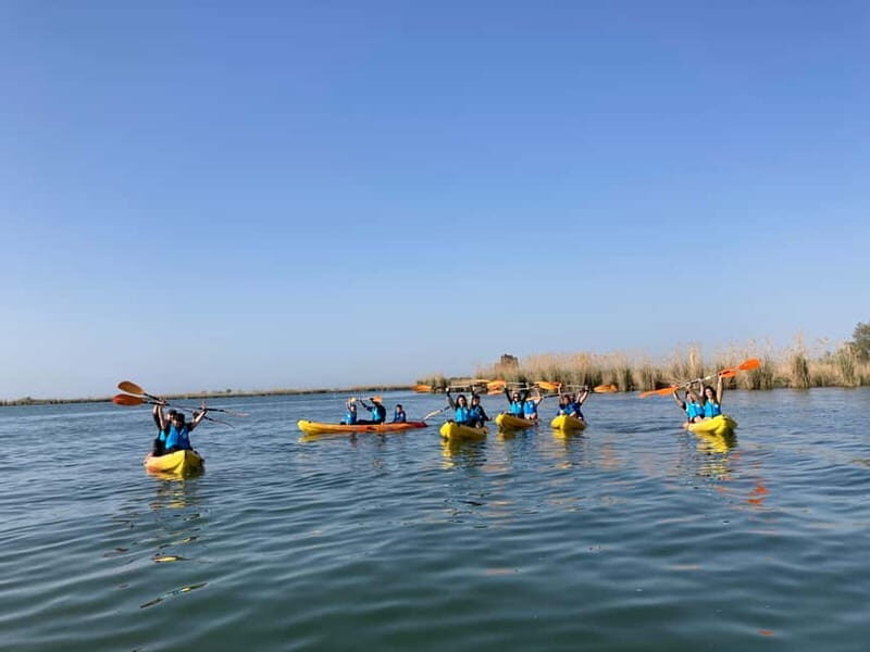 Kayak excursion through the Ebro Delta - 7 routes to choose from - The Sum Up