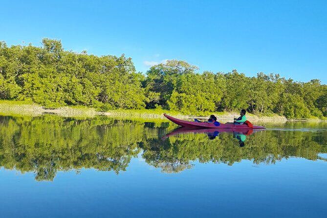 Kayak Experience in the Mangroves of Holbox Island - Frequently Asked Questions