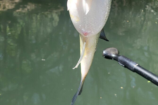 Kayak FISHING Down The Verde River Full Day 20 min from Sedona - Why This Tour Is a Great Fit