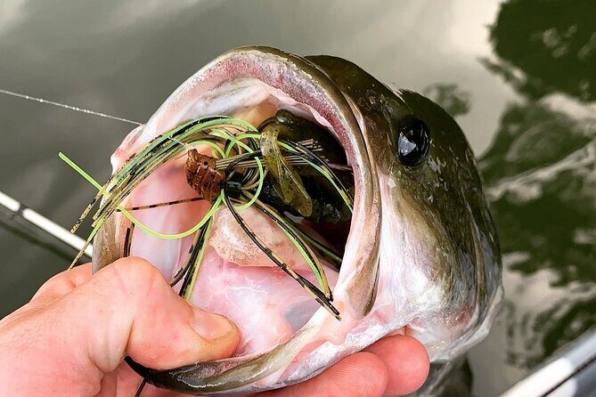 Kayak fishing guides and scenic paddle tours - Who Will Love This Tour?