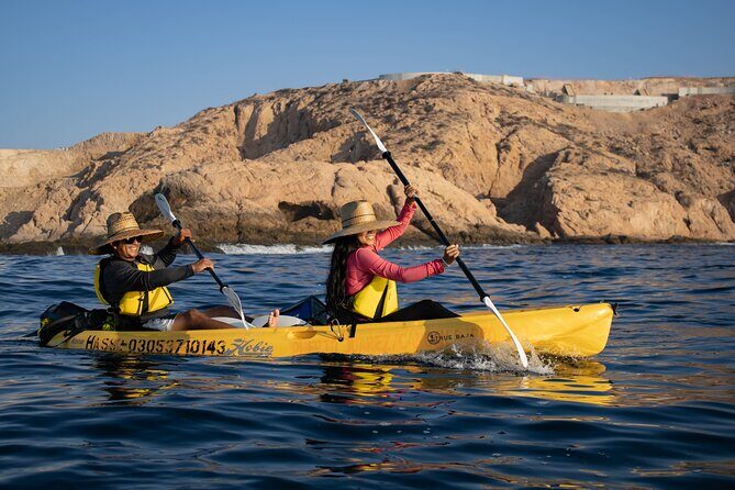 Kayak from Viudas Beach to Chileno Bay & Snorkel + Beach Time - The Value Proposition