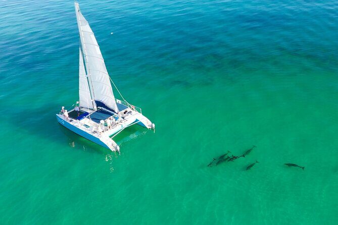 Kayak + Guided Snorkel & Morning Sail hosted by Honest Eco - Introduction