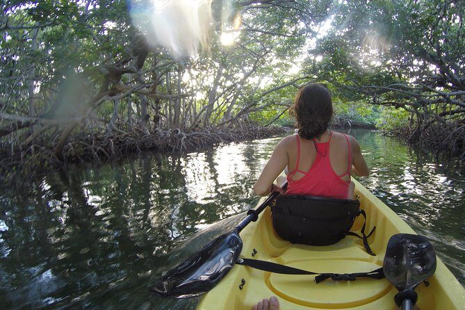 Kayak + Guided Snorkel & Morning Sail hosted by Honest Eco - Authentic Encounters and Excellent Reviews
